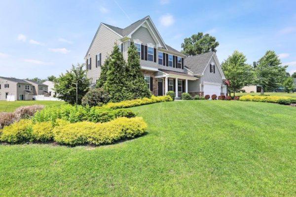 Still Photography – Integrity Imaging Solutions